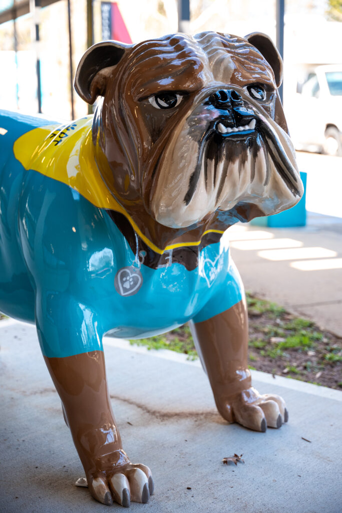 Bulldog Statue Voting – Athens Area Humane Society